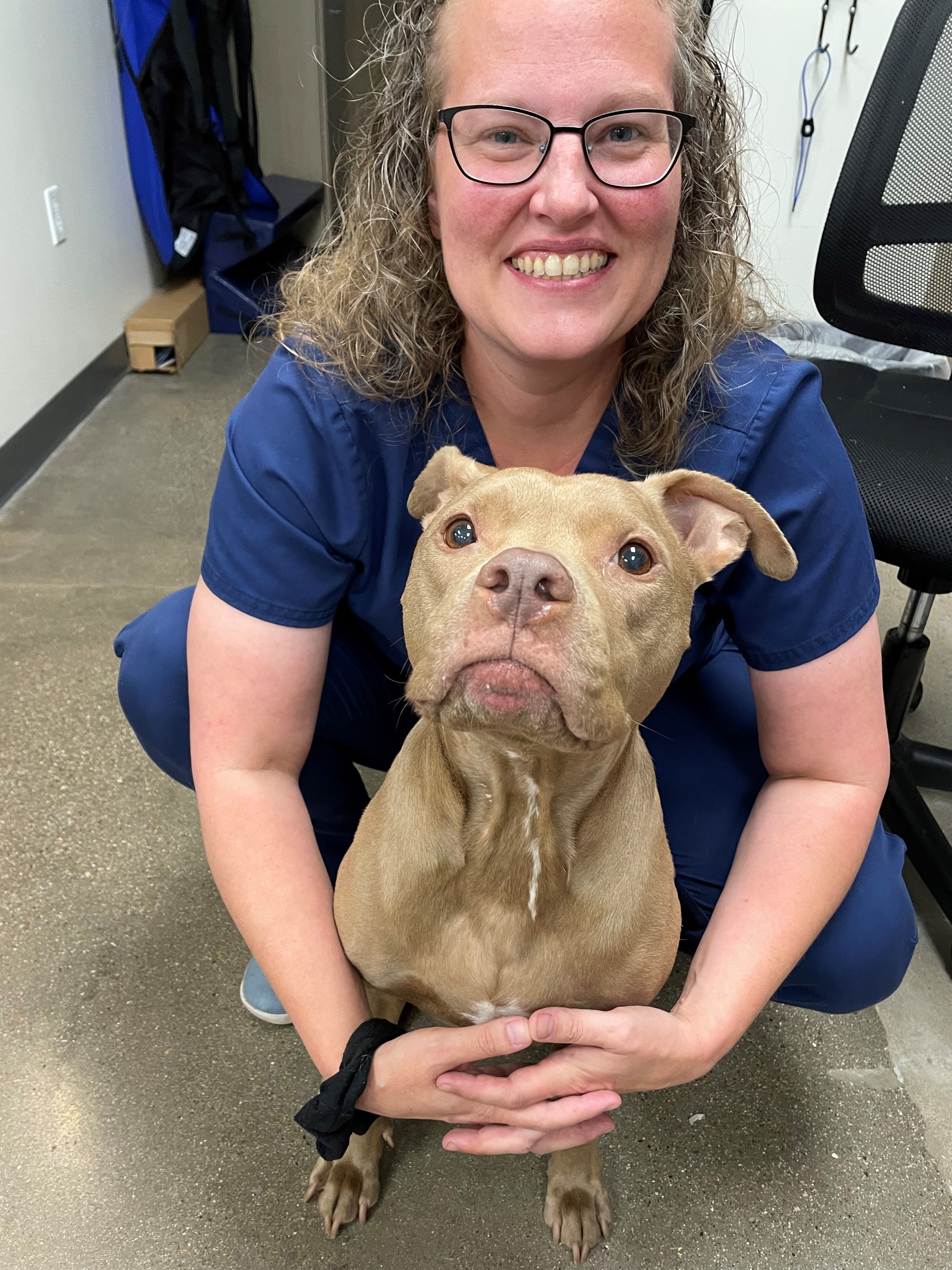 Rodeo Vet Turned Hospital Medical Leader | Petco